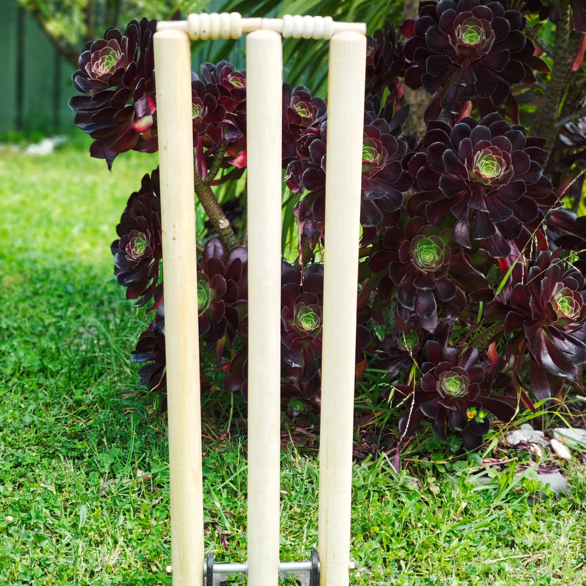 Spring and Metal Base Cricket Stumps. – Sports knight